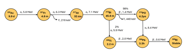 Ac-225 Targeted Radiopharmaceuticals in Clinical Trials