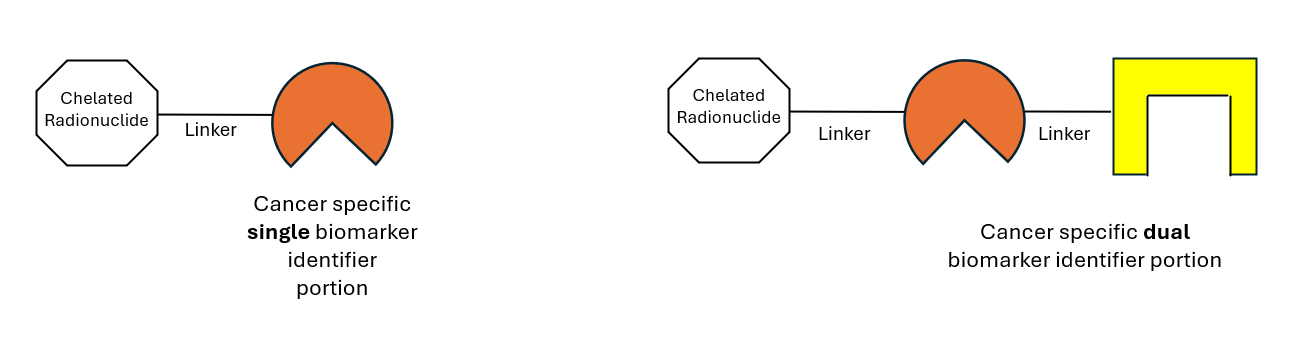 A dual target theranostic radioligand for Prostate Cancer